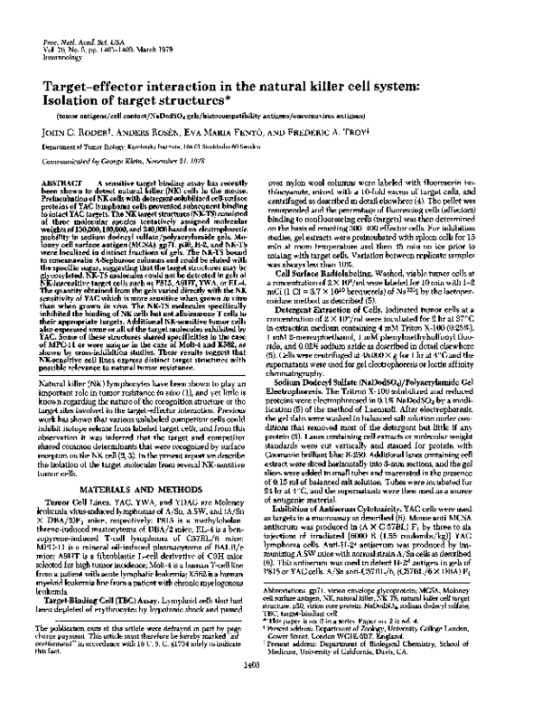 (PDF) Target—effector interaction in the natural killer cell system ...