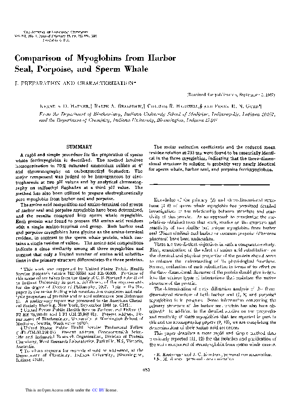 (PDF) Comparison of Myoglobins from Harbor Seal, Porpoise, and Sperm Whale