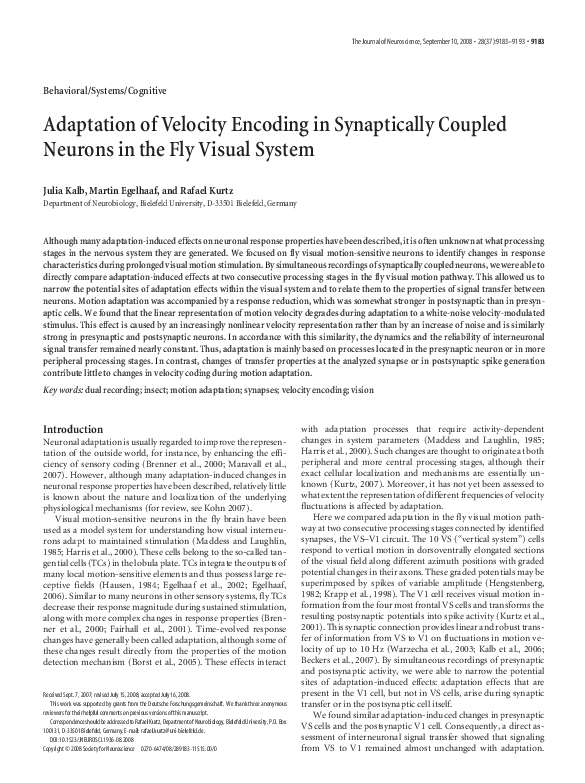 (PDF) Adaptation of Velocity Encoding in Synaptically Coupled Neurons ...