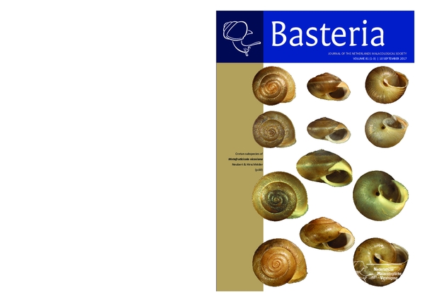 (PDF) A new mathildid from Saint Helena Island, South Atlantic Ocean ...