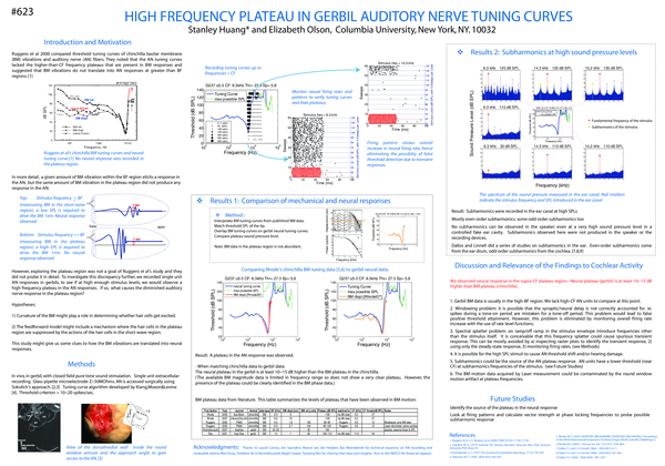 (PDF) High Frequency Plateau in Gerbil Auditory Nerve Tuning Curves