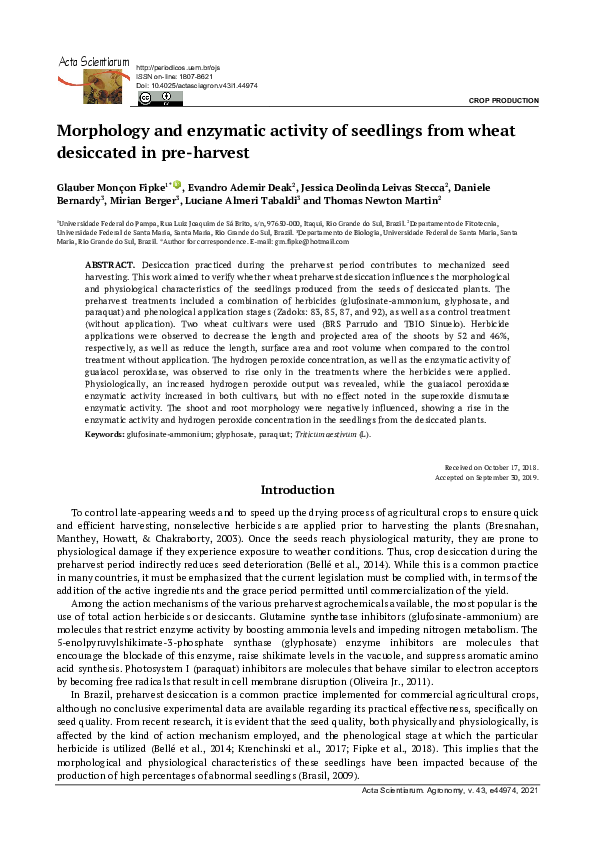 (PDF) Morphology and enzymatic activity of seedlings from wheat ...
