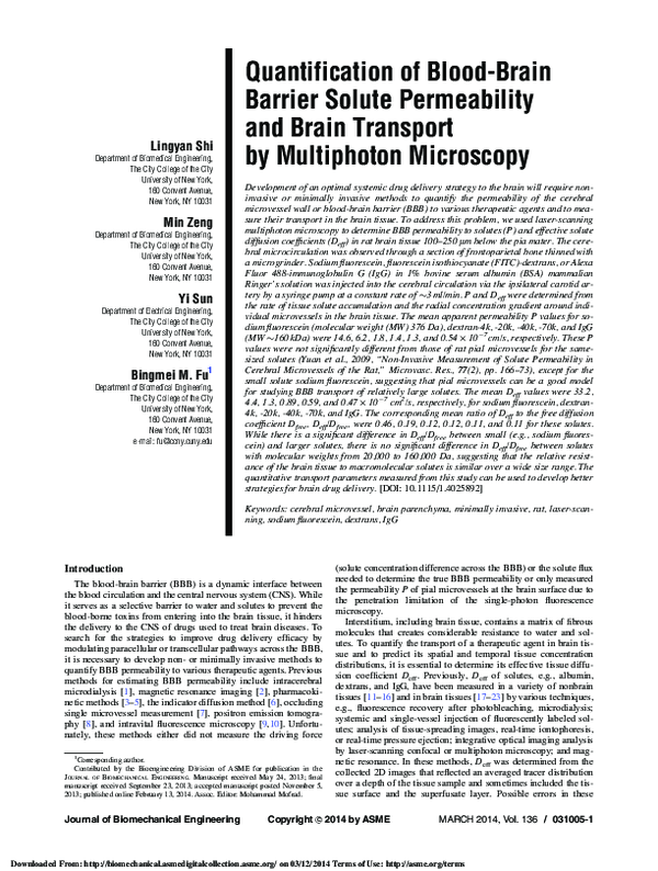 (PDF) Quantification of Blood-Brain Barrier Solute Permeability and ...
