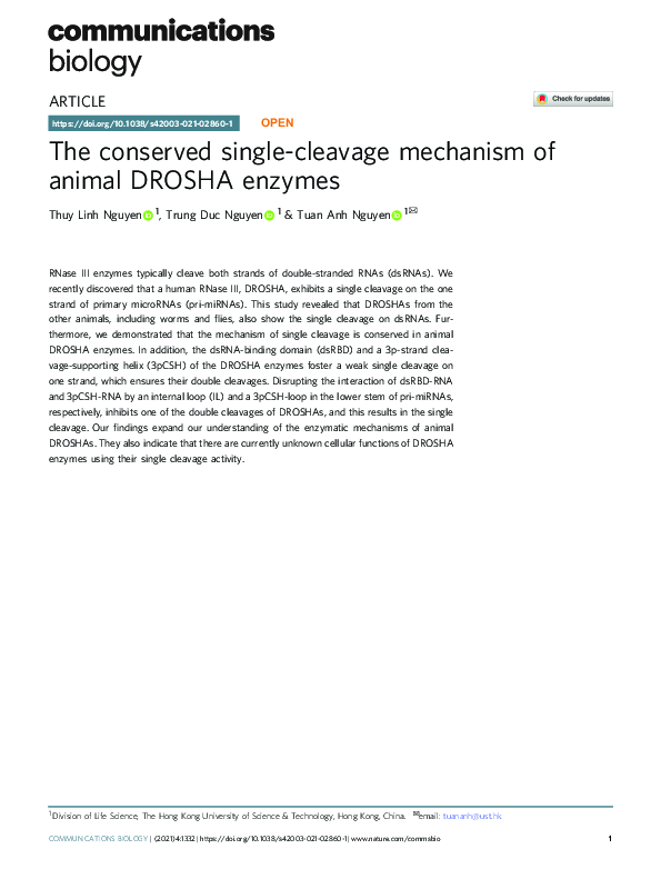 (PDF) The conserved single-cleavage mechanism of animal DROSHA enzymes