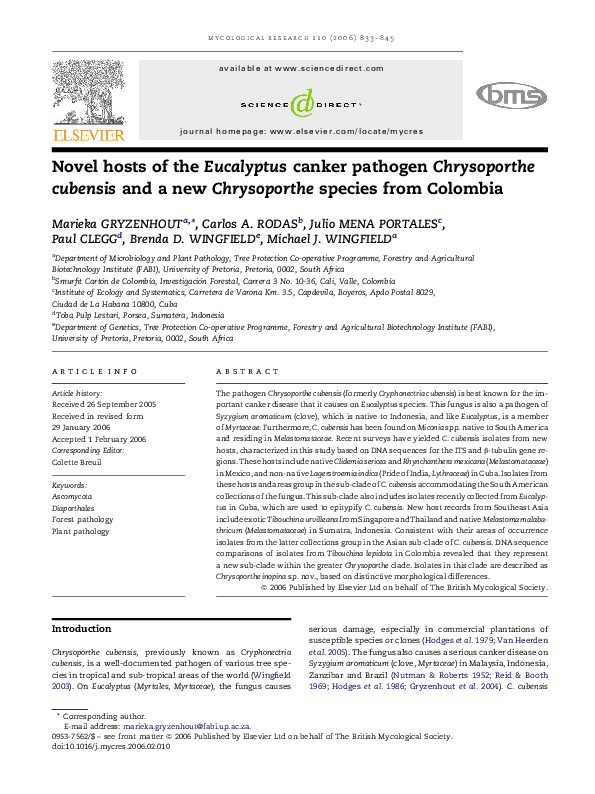 (PDF) Novel hosts of the Eucalyptus canker pathogen Chrysoporthe ...