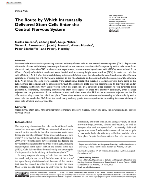 (PDF) The Route by Which Intranasally Delivered Stem Cells Enter the ...