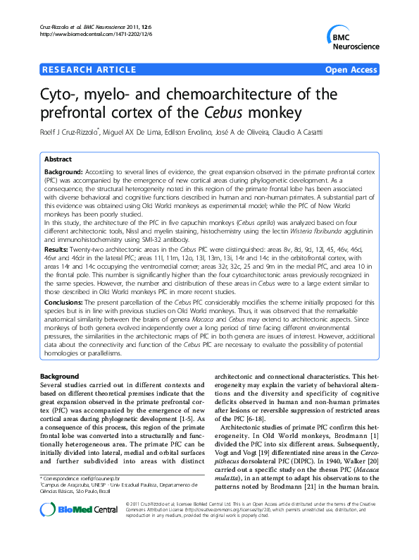 (PDF) Cyto-, myelo- and chemoarchitecture of the prefrontal cortex of ...