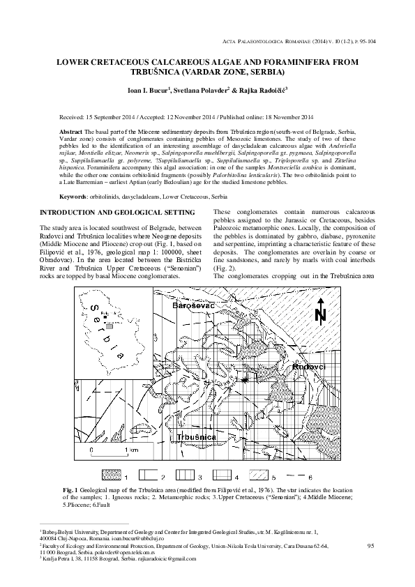 (PDF) Lower Cretaceous calcareous algae and foraminifera from Trbušnica ...