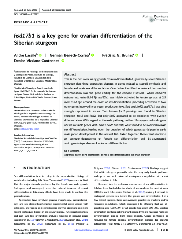 (PDF) hsd17b1 is a key gene for ovarian differentiation of the Siberian ...