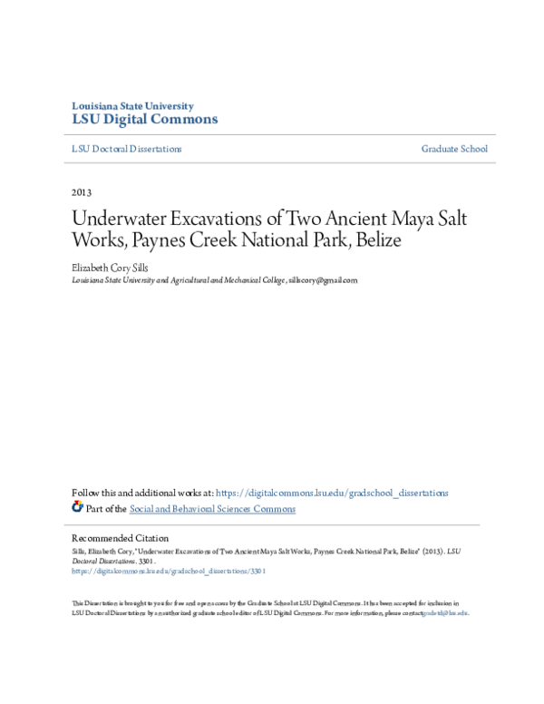 (PDF) Underwater Excavations of Two Ancient Maya Salt Works, Paynes ...