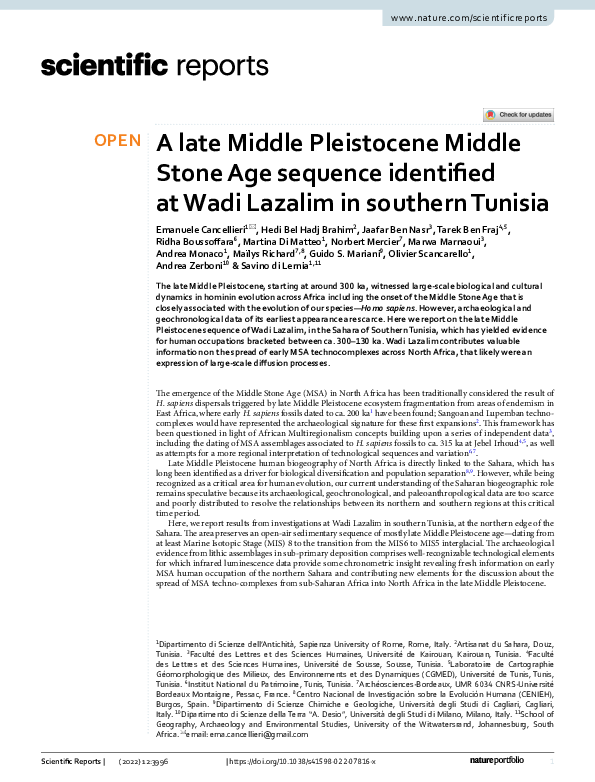 (PDF) A late Middle Pleistocene Middle Stone Age sequence identified at ...