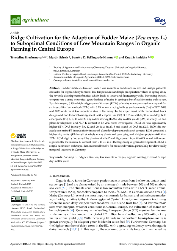 (PDF) Ridge Cultivation for the Adaption of Fodder Maize (Zea mays L ...