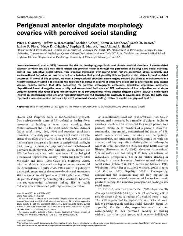 (PDF) Perigenual anterior cingulate morphology covaries with perceived ...