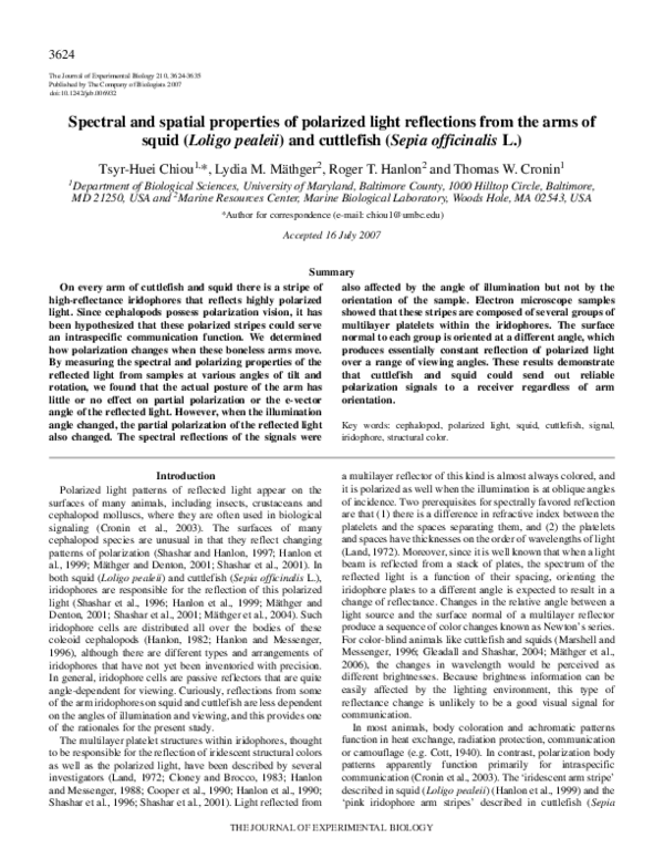 (PDF) Spectral and spatial properties of polarized light reflections ...