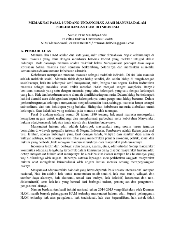(PDF) MEMAKNAI PASAL 6 UNDANG-UNDANG HAK ASASI MANUSIA DALAM ...