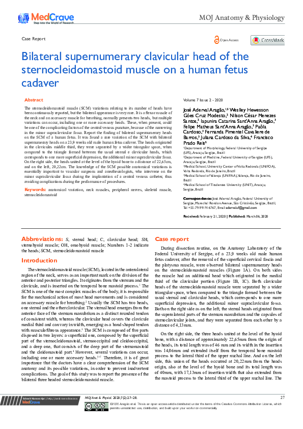 (PDF) Bilateral supernumerary clavicular head of the ...