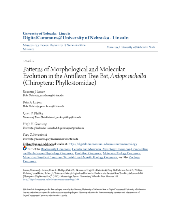 (PDF) Patterns of Morphological and Molecular Evolution in the ...