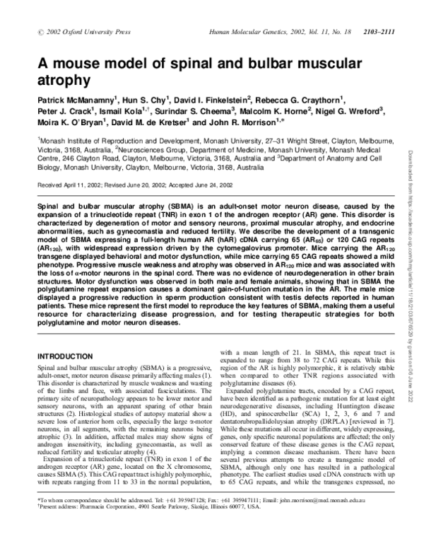 (PDF) A mouse model of spinal and bulbar muscular atrophy