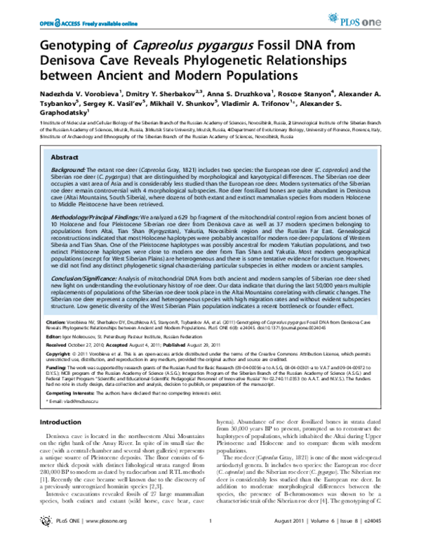 (PDF) Genotyping of Capreolus pygargus Fossil DNA from Denisova Cave ...