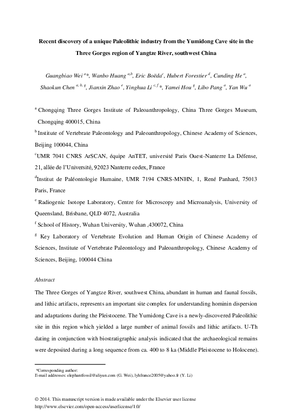 (PDF) Recent discovery of a unique Paleolithic industry from the ...