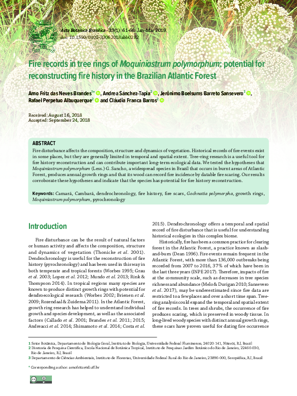(PDF) Fire records in tree rings of Moquiniastrum polymorphum ...