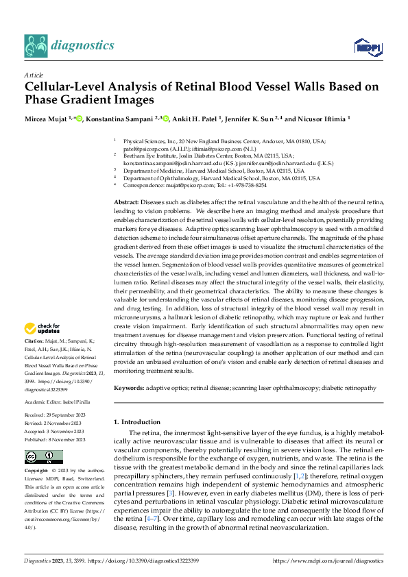 (PDF) Cellular-Level Analysis of Retinal Blood Vessel Walls Based on ...