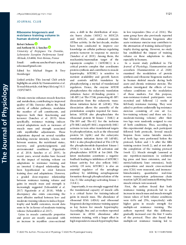 (PDF) Ribosome biogenesis and resistance training volume in human ...
