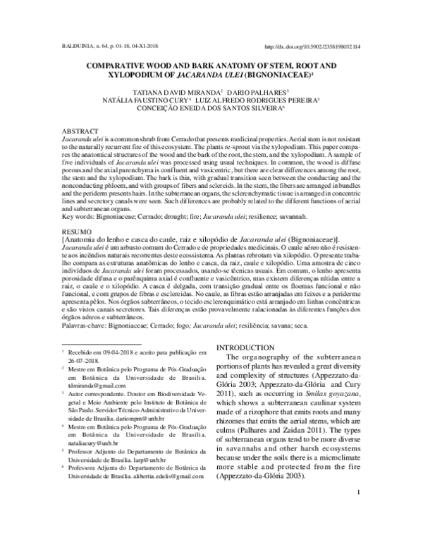 (PDF) Comparative wood and bark anatomy of stem, root and xylopodium of ...