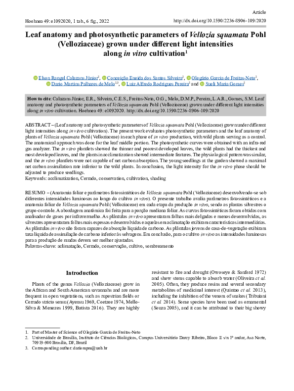 (PDF) Leaf anatomy and photosynthetic parameters of Vellozia squamata ...