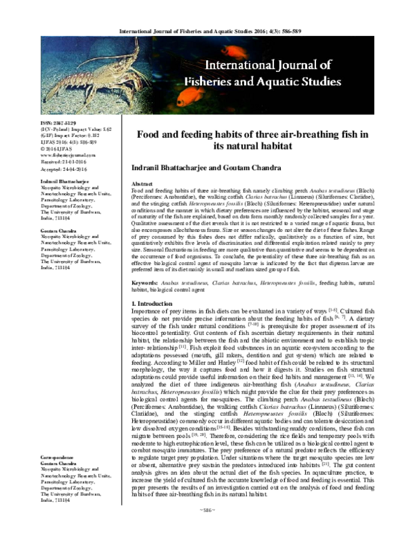 (PDF) Food and feeding habits of three air-breathing fish in its ...