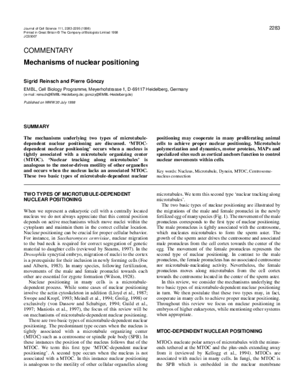 (PDF) Mechanisms of nuclear positioning