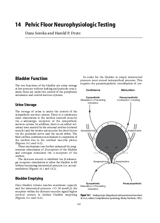 (PDF) Pelvic Floor Neurophysiologic Testing