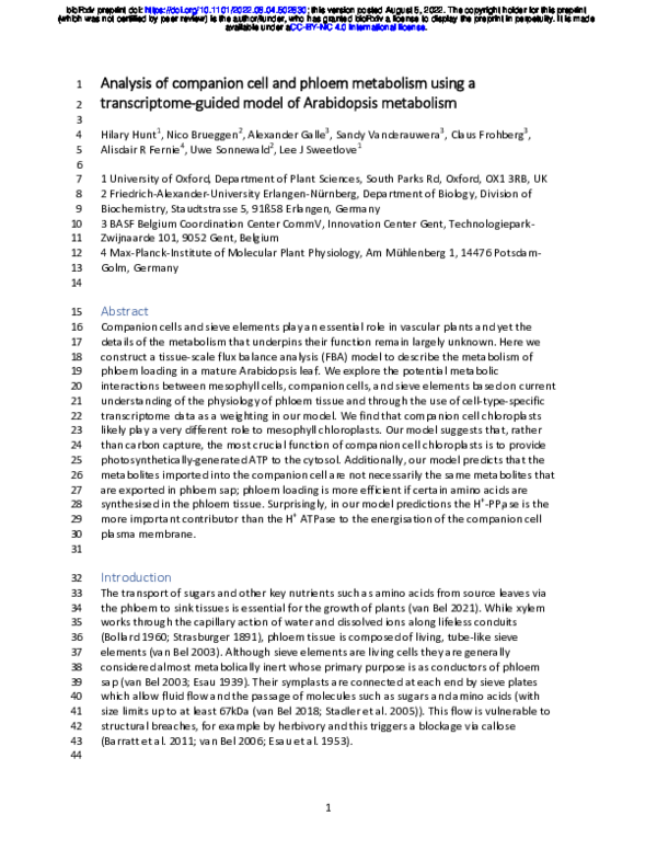 (PDF) Analysis of companion cell and phloem metabolism using a ...