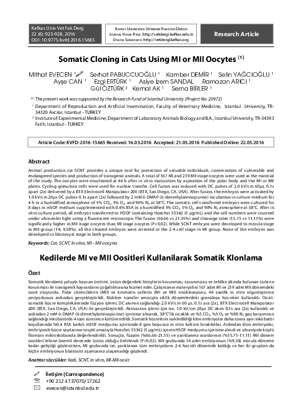 (PDF) Somatic Cloning in Cats Using MI or MII Oocytes
