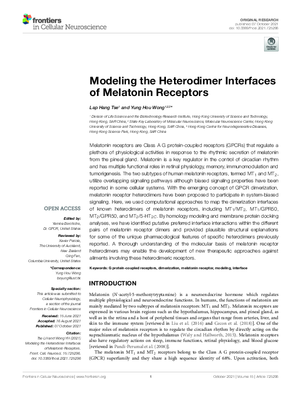 (PDF) Modeling the Heterodimer Interfaces of Melatonin Receptors