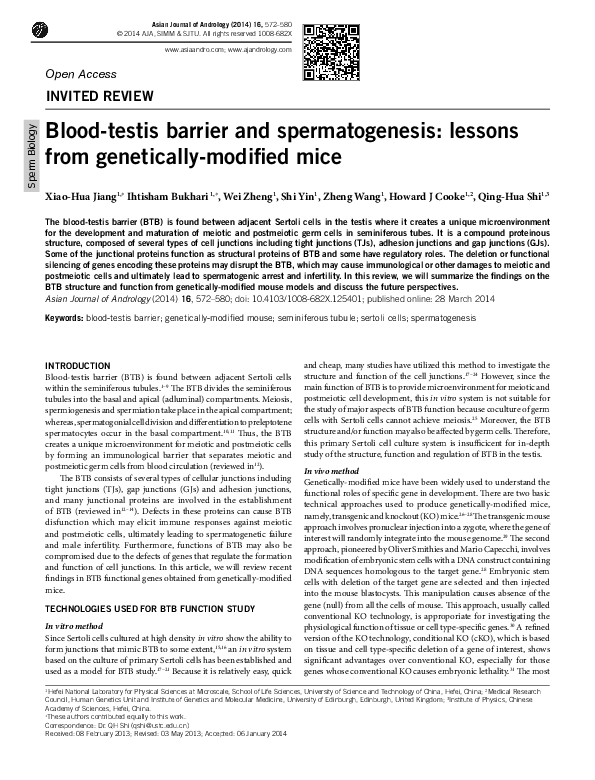 (PDF) Blood-testis barrier and spermatogenesis: lessons from ...