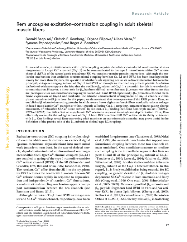 (PDF) Rem uncouples excitation-contraction coupling in adult skeletal ...