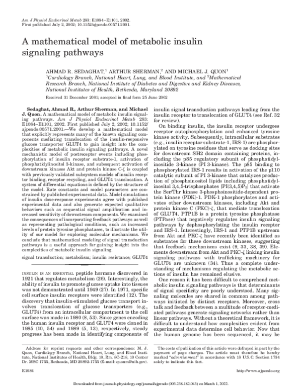 (PDF) A mathematical model of metabolic insulin signaling pathways
