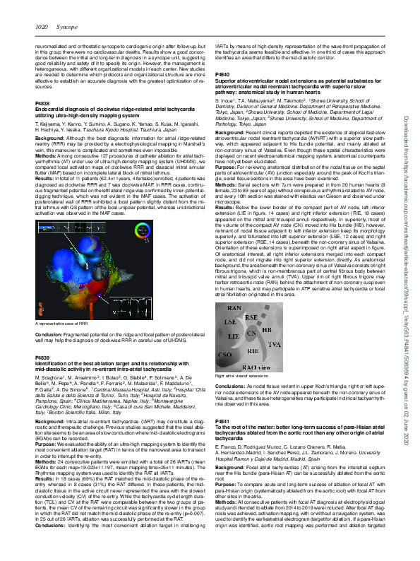 (PDF) P4841To the root of the matter: better long-term success of para ...
