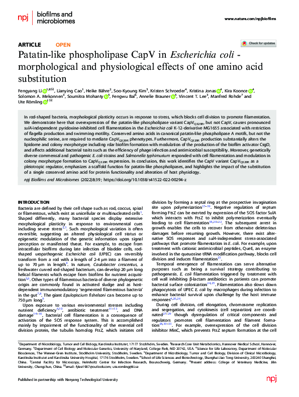 (PDF) Patatin-like phospholipase CapV in Escherichia coli ...