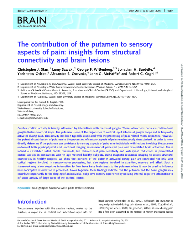 (PDF) The contribution of the putamen to sensory aspects of pain ...
