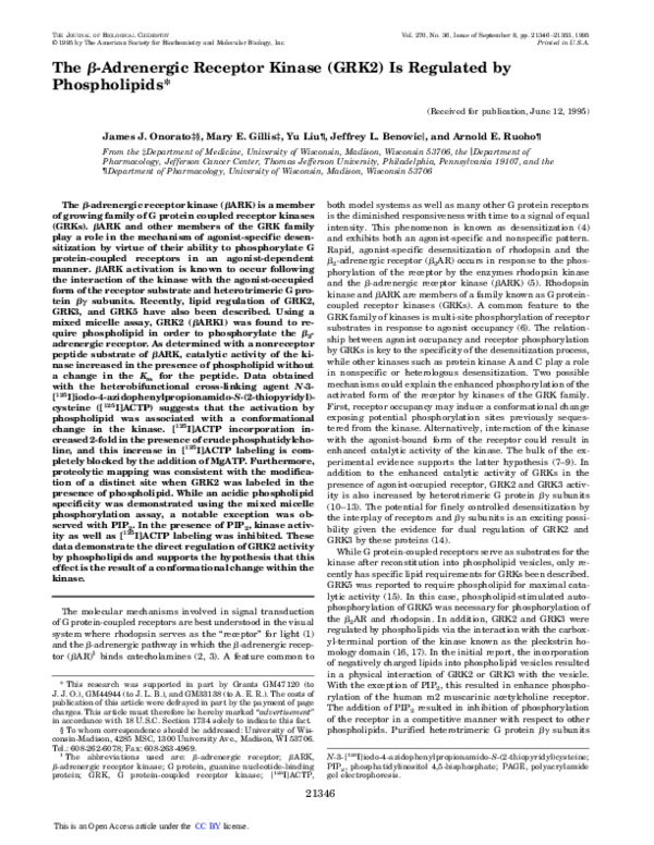 (PDF) The β-Adrenergic Receptor Kinase (GRK2) Is Regulated by Phospholipids