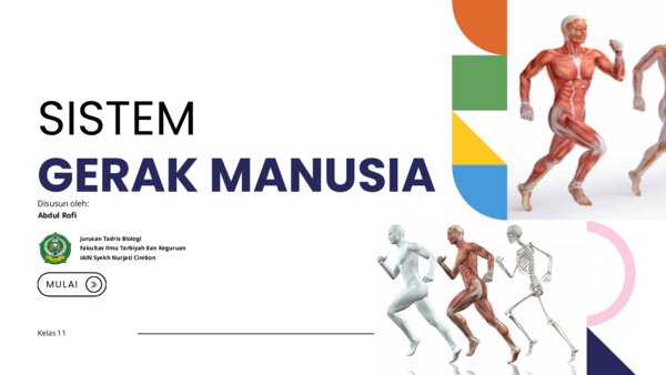 (PDF) SISTEM GERAK MANUSIA
