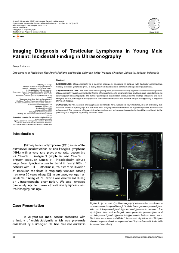 (PDF) Imaging Diagnosis of Testicular Lymphoma in Young Male Patient ...
