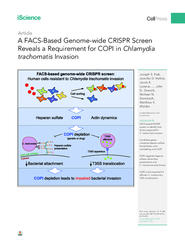 (PDF) A FACS-Based Genome-wide CRISPR Screen Reveals a Requirement for ...