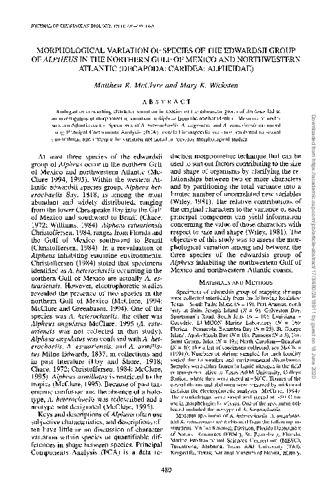(PDF) Morphological Variation of Species of the Edwardsii Group of ...
