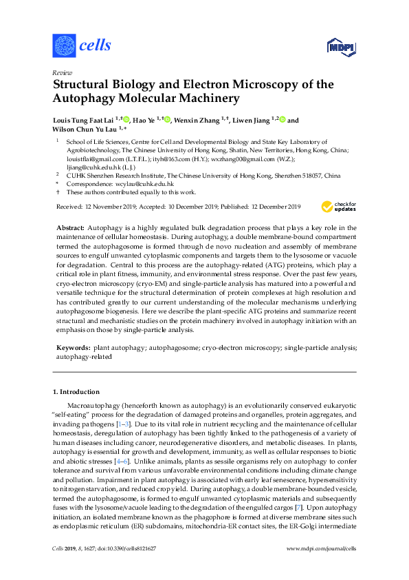 (PDF) Structural Biology and Electron Microscopy of the Autophagy ...