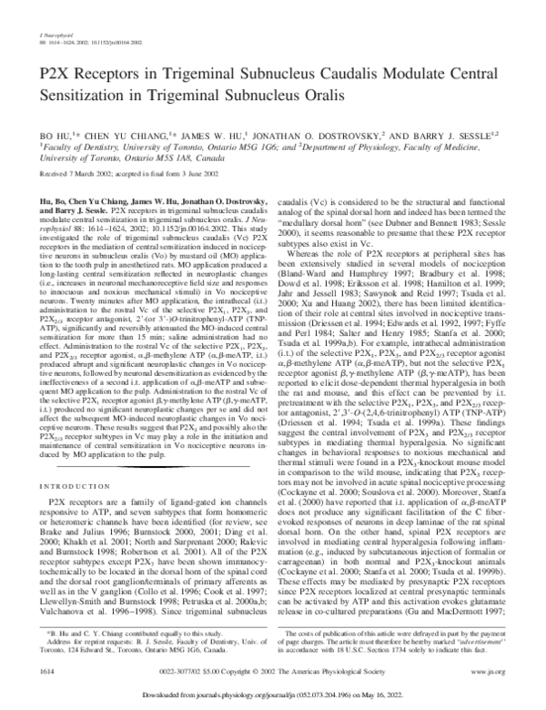 (PDF) P2X receptors in trigeminal subnucleus caudalis modulate central ...