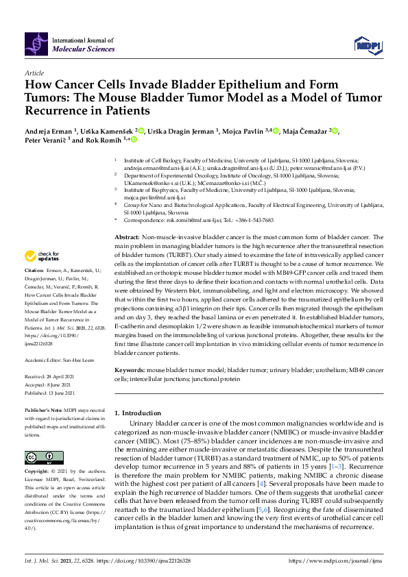 (PDF) How Cancer Cells Invade Bladder Epithelium and Form Tumors: The ...