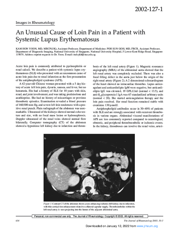 (PDF) An unusual cause of loin pain in a patient with systemic lupus ...
